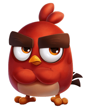 Advice#1: Angry Bird | HearthandHomeBuddies.com